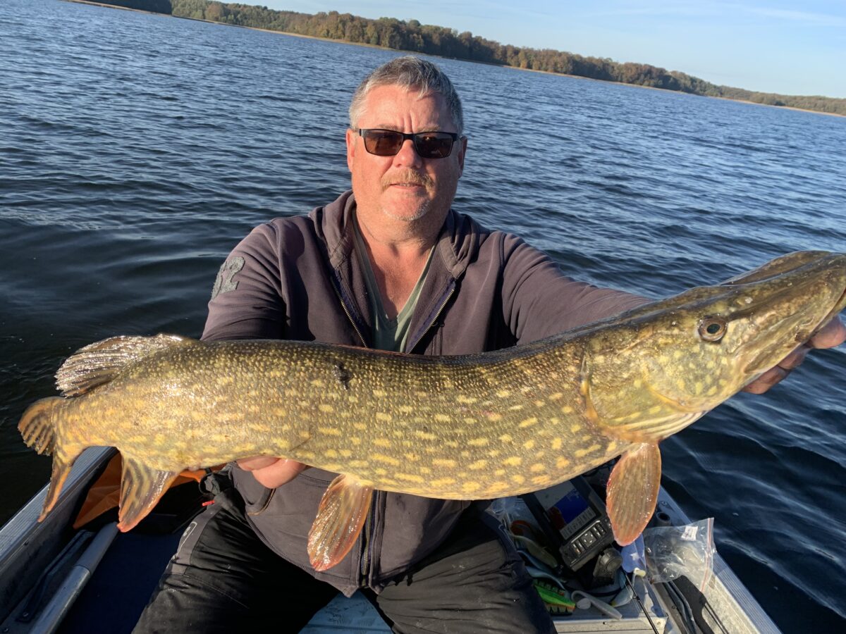 Bildergalerie Hecht - Angelguide in Mecklenburg Vorpommern